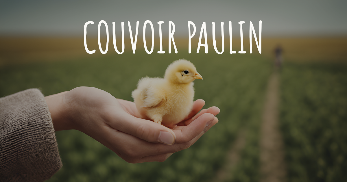 Couvoir Paulin